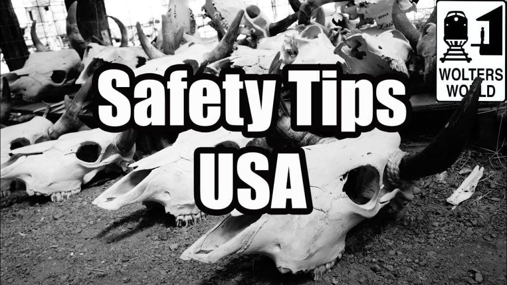 6 Safety Tips for Travel in The USA – Wolters World