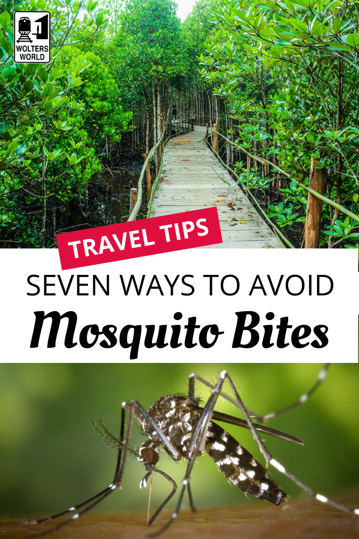 7 Ways to Prevent Mosquito Bites While Traveling – Wolters World